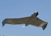 BlueBird to soar with Piramal investment | News | Flight Global