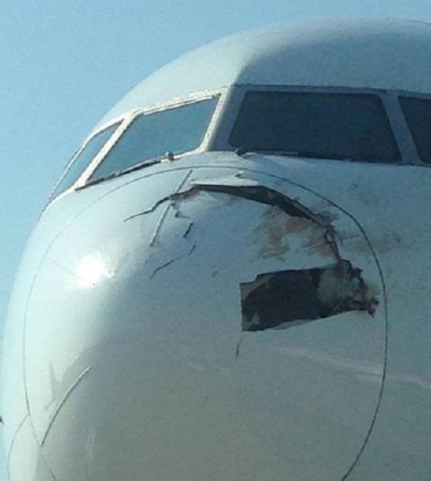 Bird strike tears open radome of SIA 777 | News | Flight Global