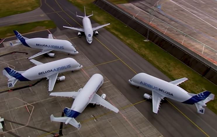 Airbus to broaden A300-600ST Beluga operations as new carrier secures AOC | Flight Global
