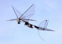 PICTURES: IAI's unmanned 'Butterfly' spreads its wings | News | Flight ...