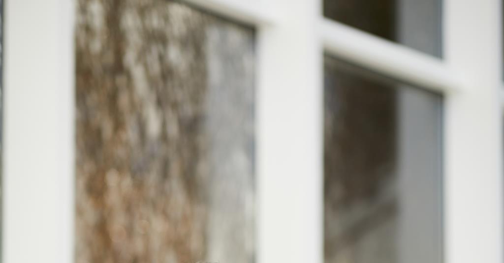 Pratt & Whitney at 100: Foreword from RTX CEO Christopher T. Calio ...