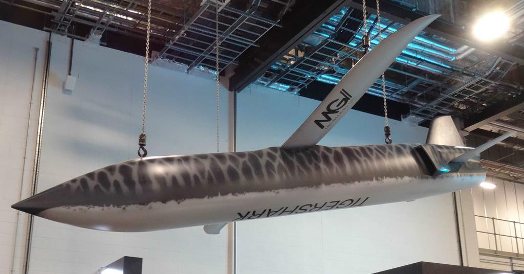 MGI Engineering unveils TigerShark precision strike weapon with 900km ...