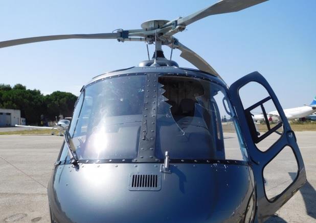 Fly high or reduce speed to cut civil helicopter birdstrike: EASA ...