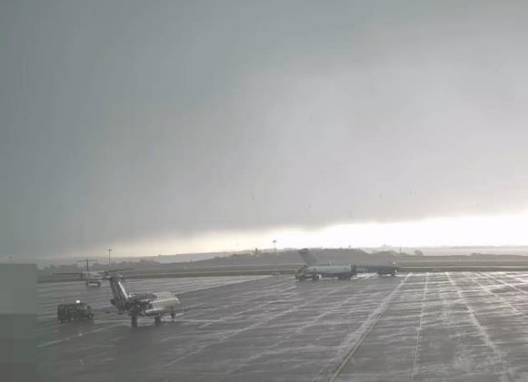 Icing considered most likely cause of climbing PC-24's jammed elevator ...