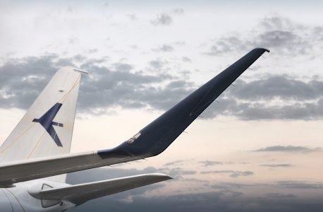 E175 operators ordered to check for tip cracks after winglet-loss ...