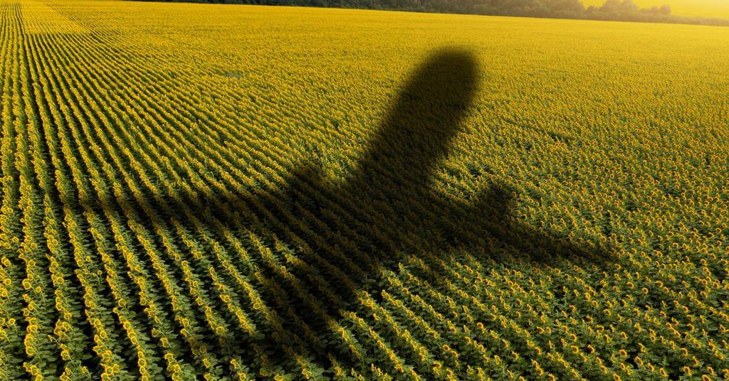 Can SAF production be scaled to help fuel aviation’s growth? | Opinion ...