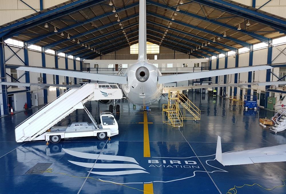 Israir Group outlines plan to acquire remainder of MRO firm Bird ...