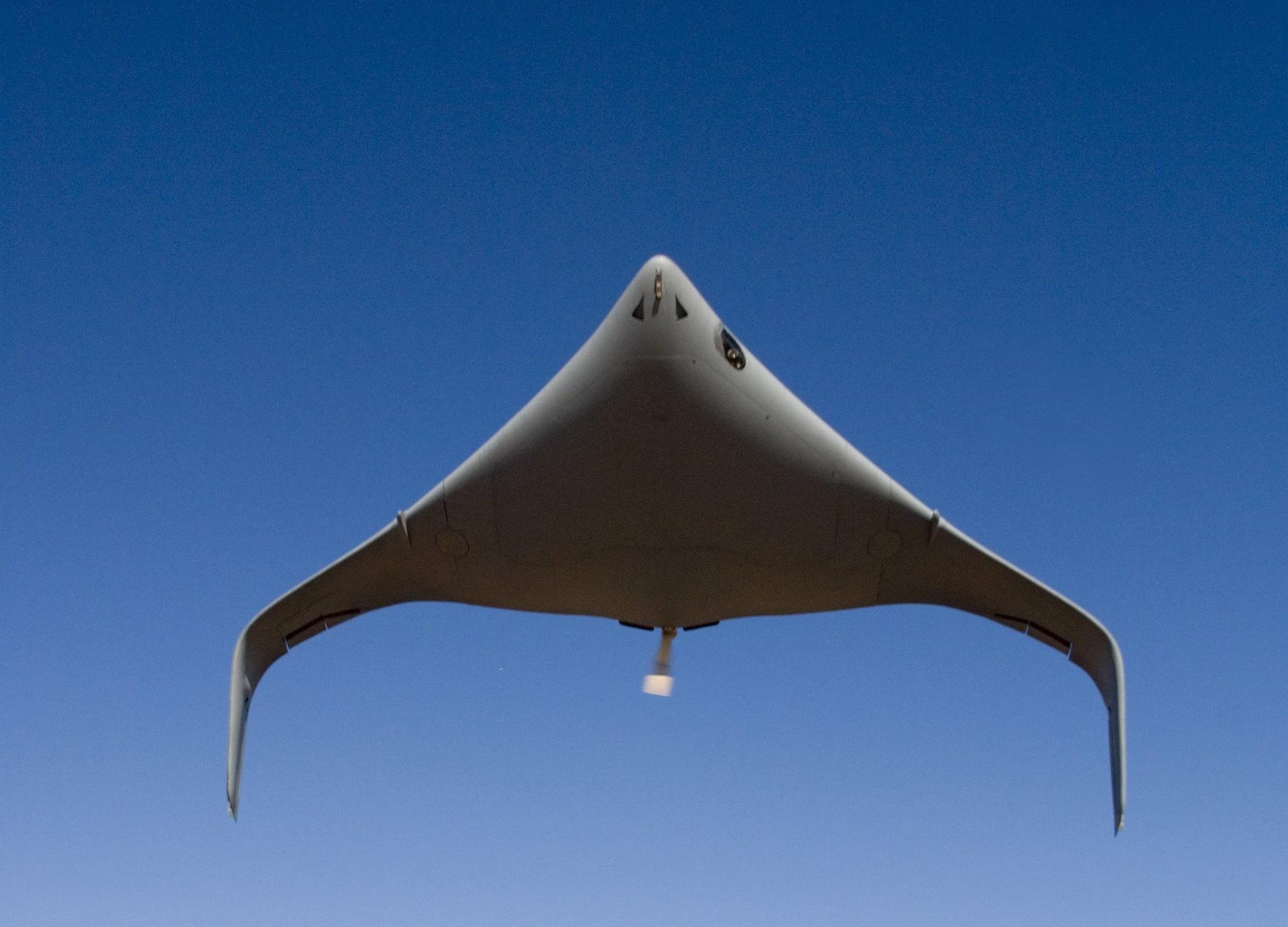 Northrop buys Swift's KillerBee UAS family | News | Flight Global