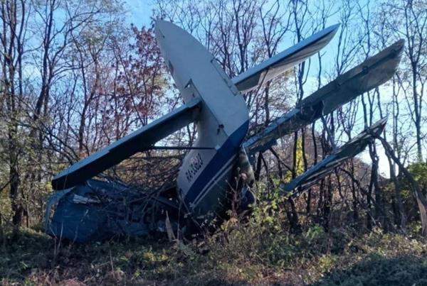 All on board survive as An-2 loses height and hits light pole | Flight ...