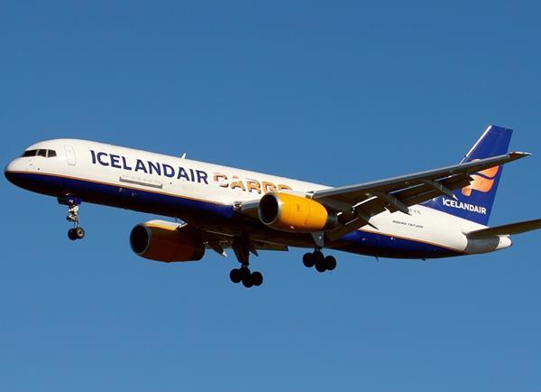 Icelandair Group expects to turn round loss-making cargo division this year | Flight Global