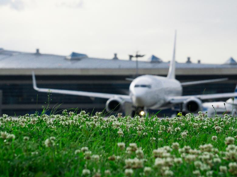 Honeywell eyes roll-out of new eSAF production technology | News ...