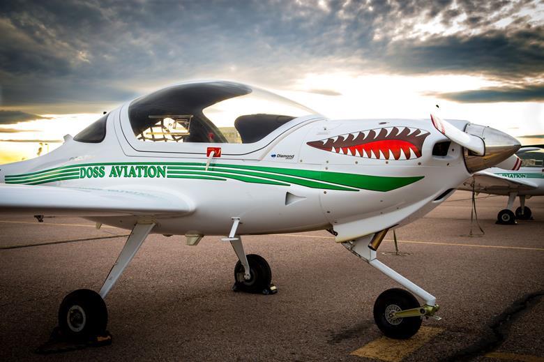 How Parent nurtured CAE to become services powerhouse | Interview ...