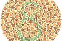 UK review of electronic colour blindness test set to be international ...